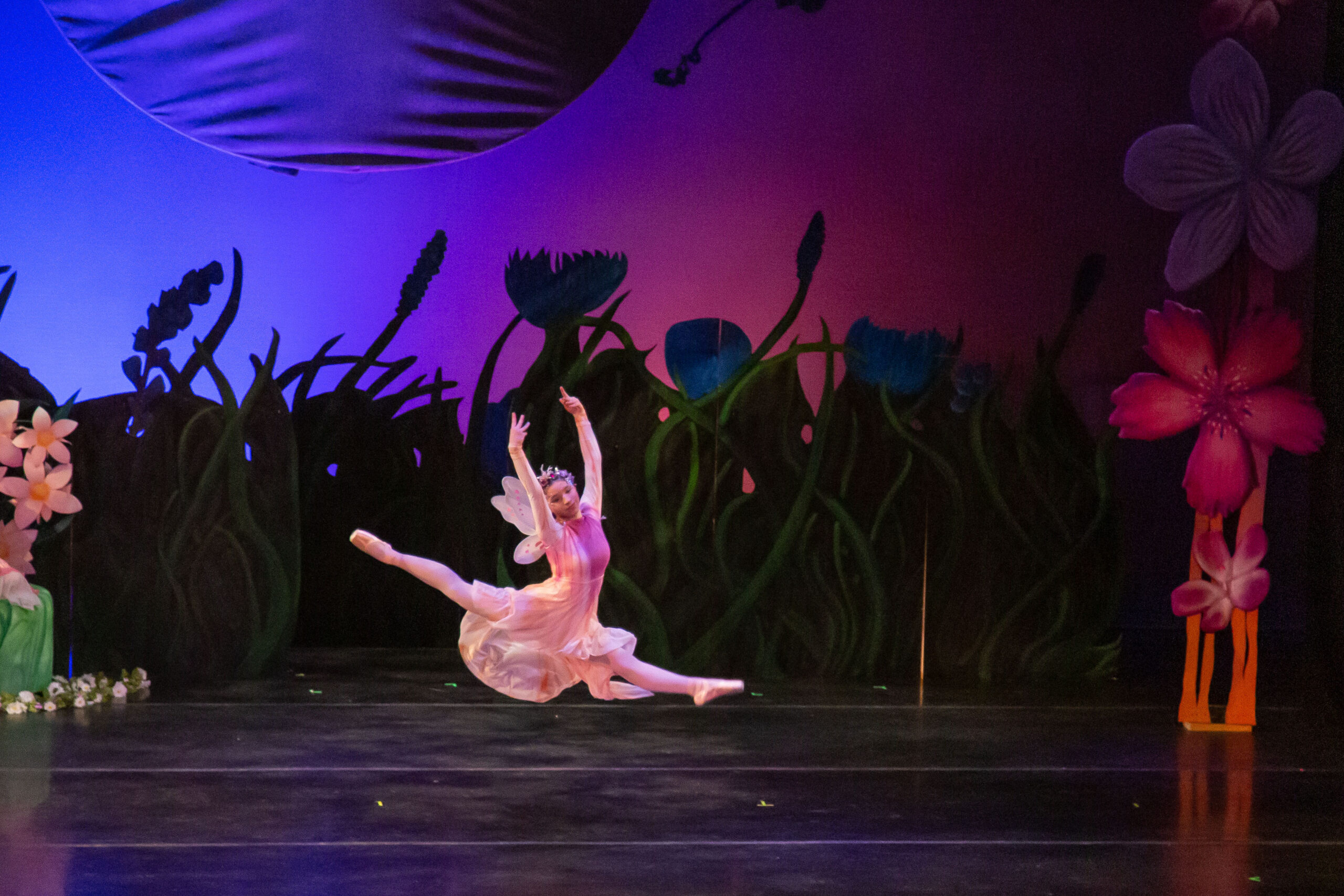 Wichita Falls Ballet Theatre – Dance company in Wichita Falls, TX